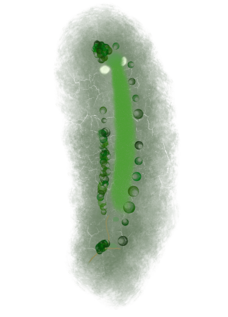 Hole 1 – Kane Country Club