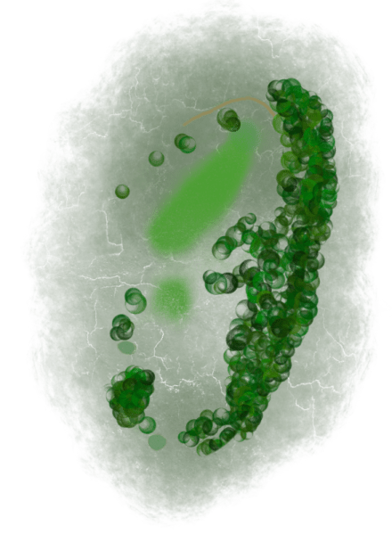 Hole 2 – Kane Country Club