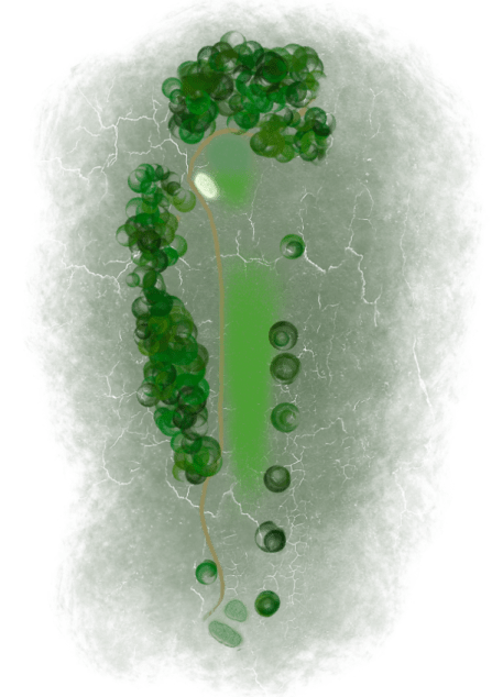 Hole 3 – Kane Country Club