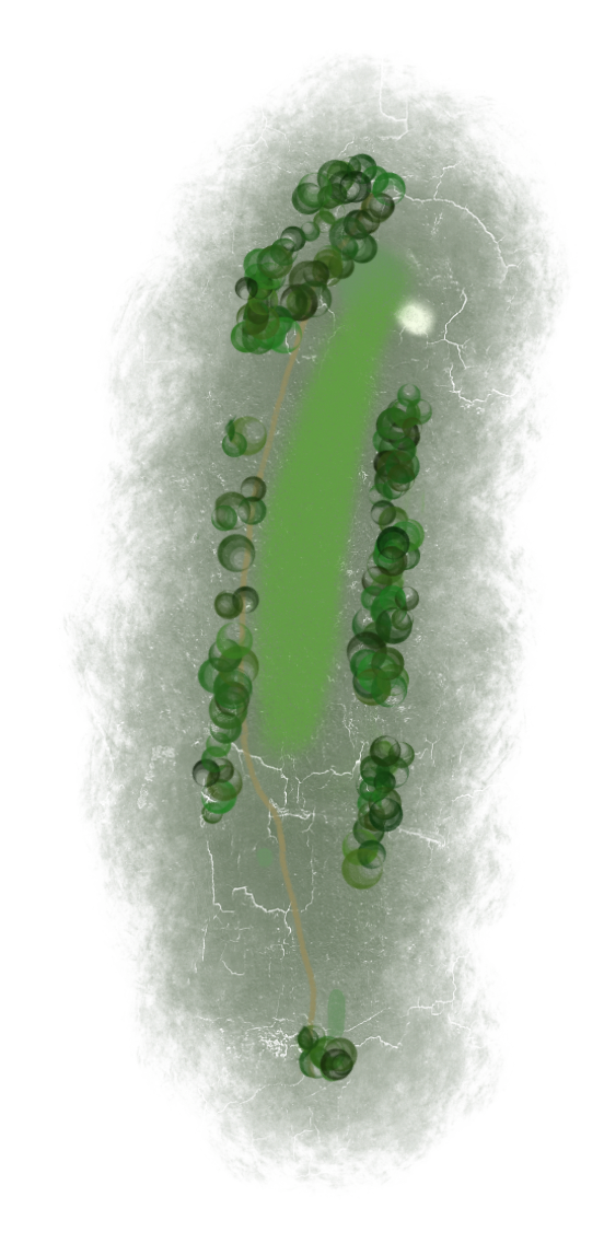 Hole 8 – Kane Country Club