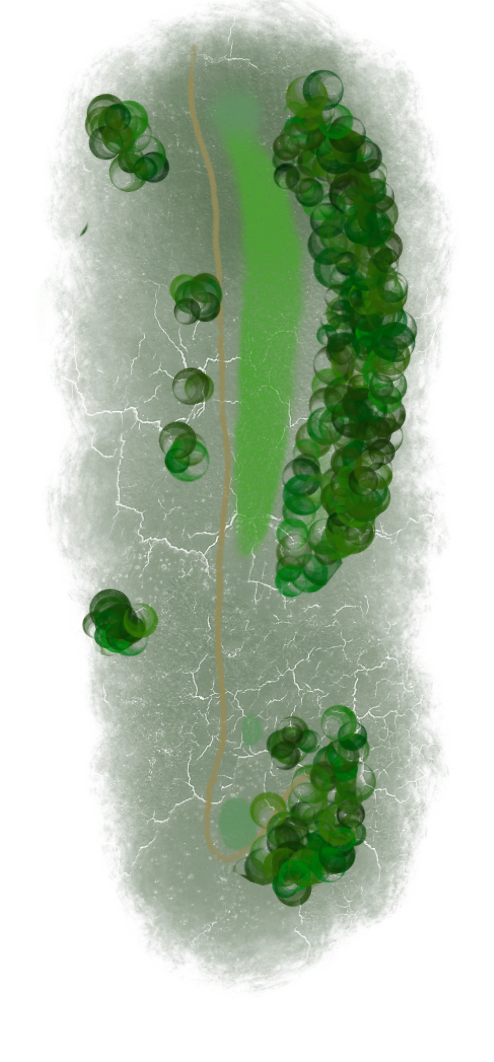 Hole 18 – Kane Country Club